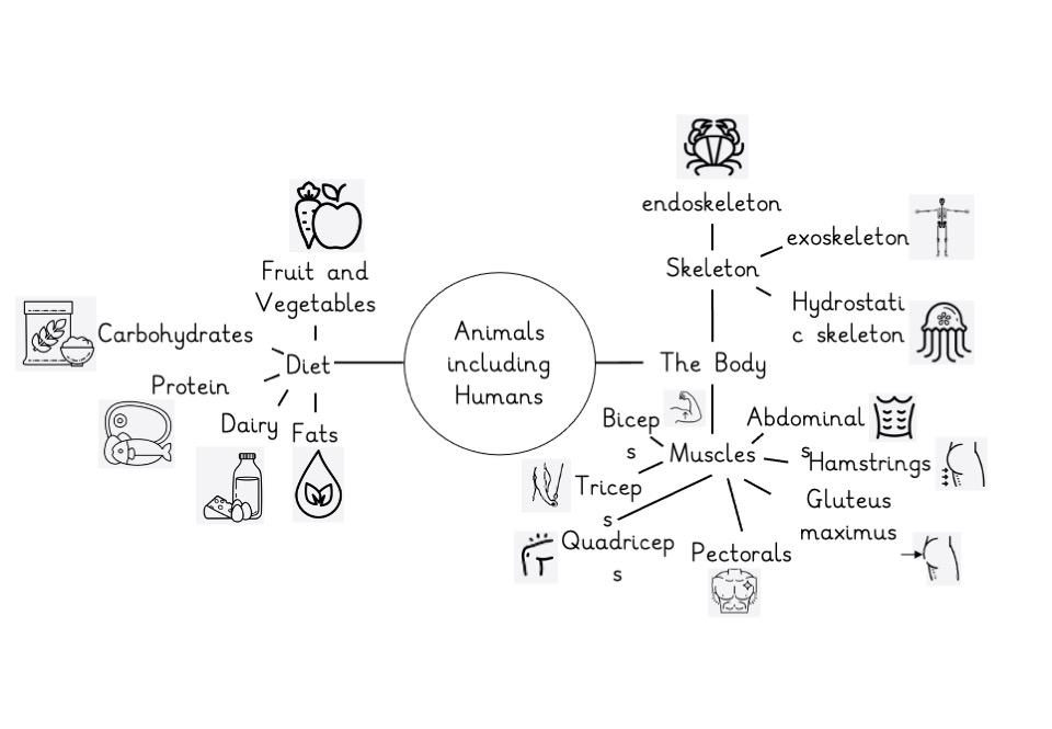 Mayflower Community Academy - Animals inc Humans