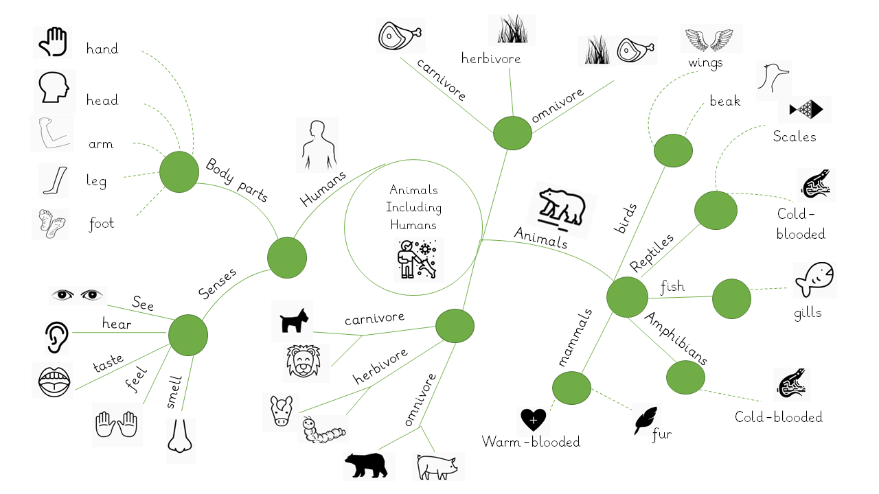 Mayflower Community Academy - Animals inc Humans