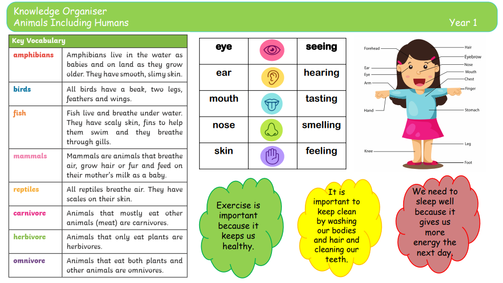 Mayflower Community Academy - Animals inc Humans