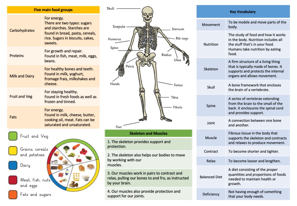 Mayflower Community Academy - Animals inc Humans
