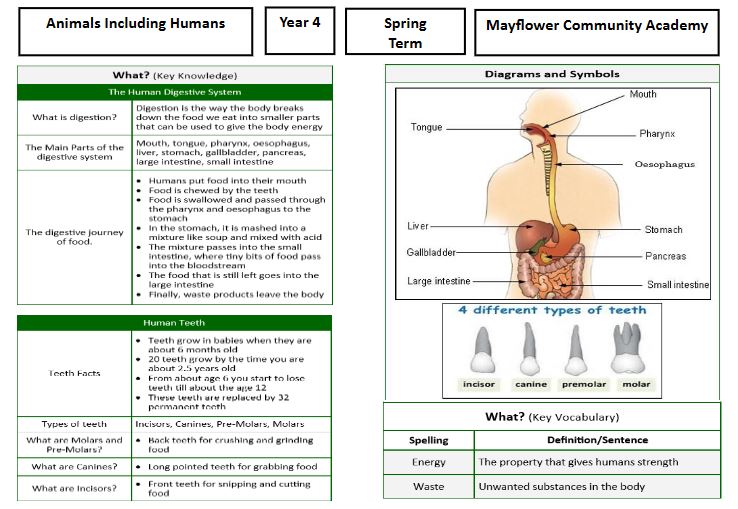 Mayflower Community Academy - Animals inc Humans